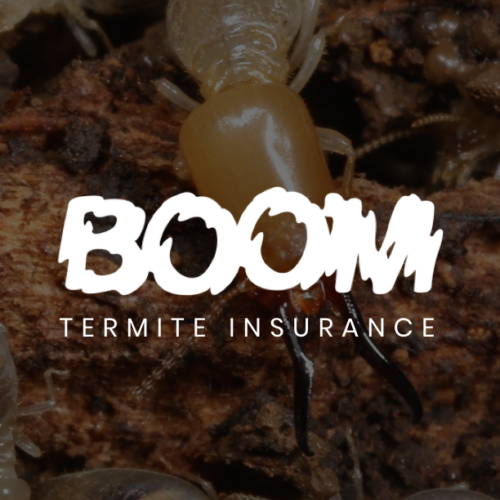 Residential Termite Solutions - Boom Pest Control